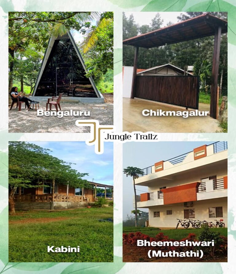 About us – Jungle Trailz Resort and Home stays